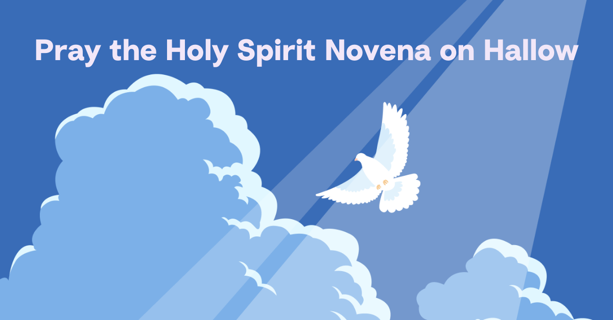 How to Pray a Novena – Hallow: Catholic Prayer & Meditation