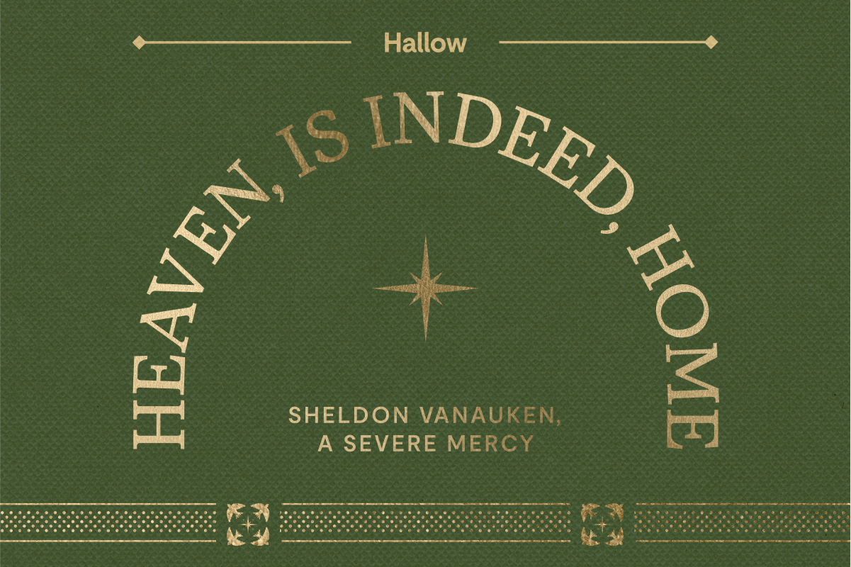 Hallow's Advent Pray25 Prayer Challenge: For God So Loved the World ...