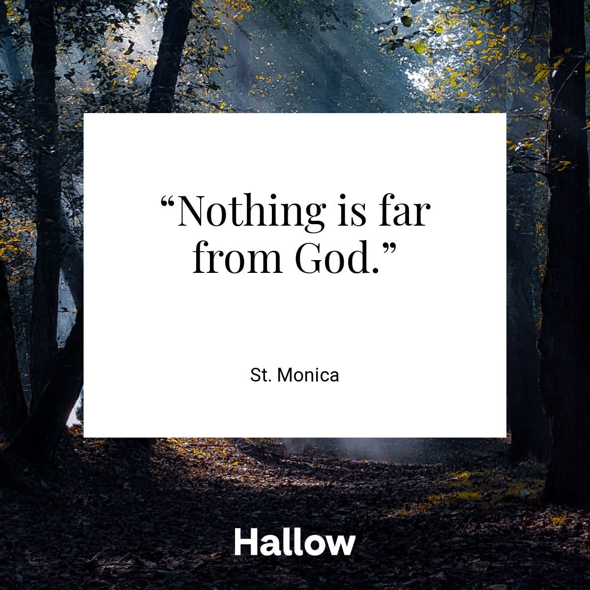 St. Monica Quote – Hallow