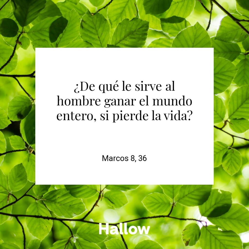 Daily Quote – Hallow