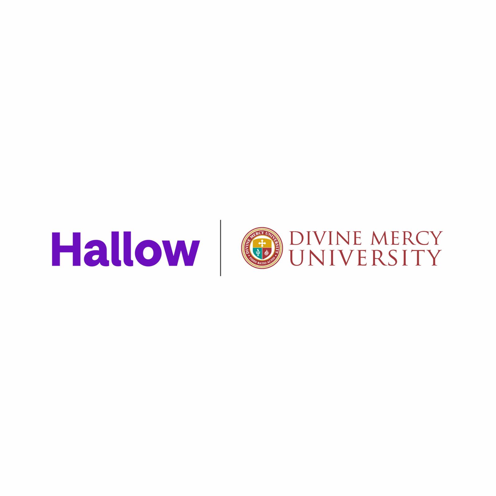 Hallow Partners with Divine Mercy University to Bring Prayer Resources ...